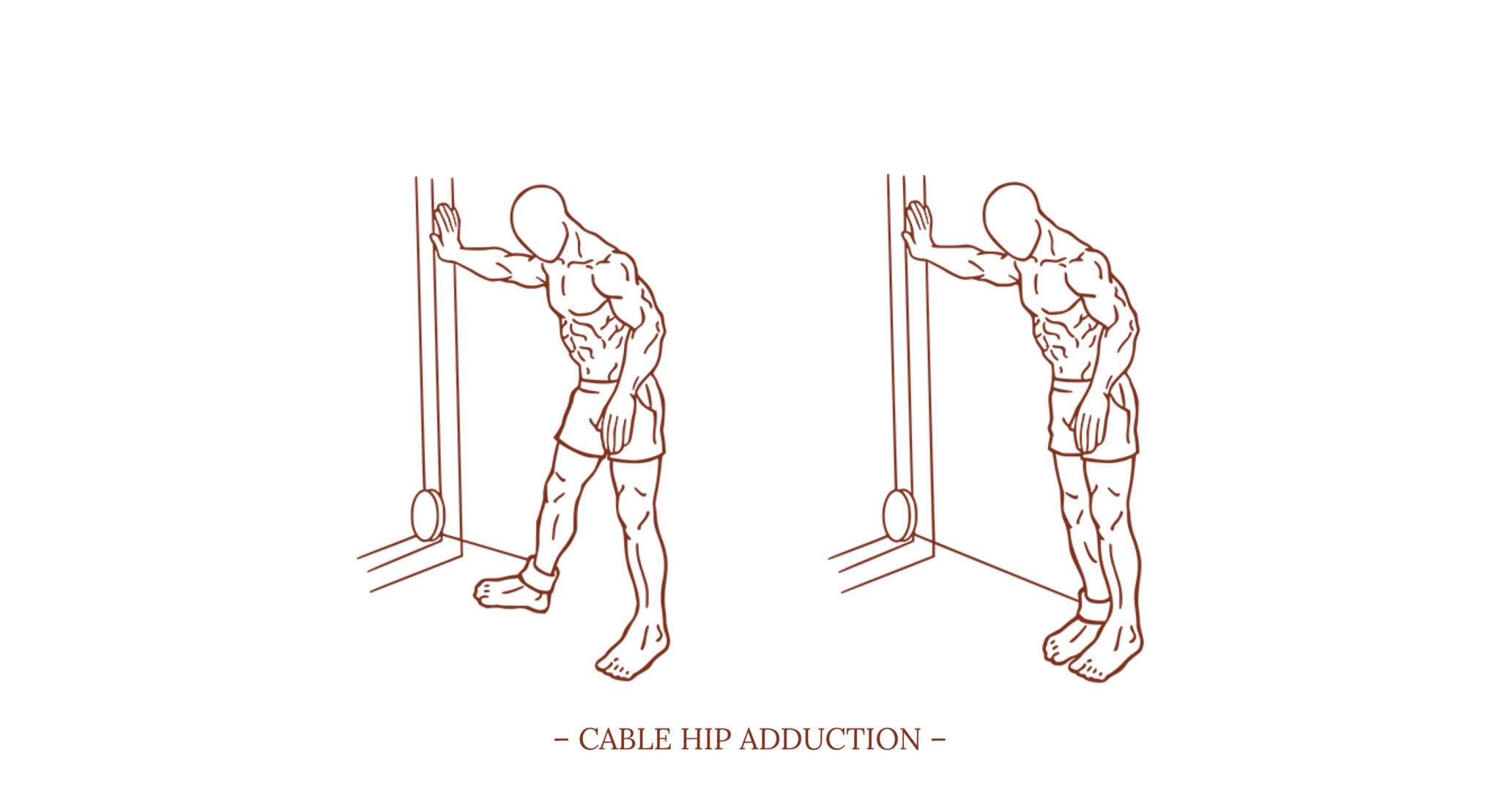 Cable-Hip-Adduction-Illustration - Michael Loehr