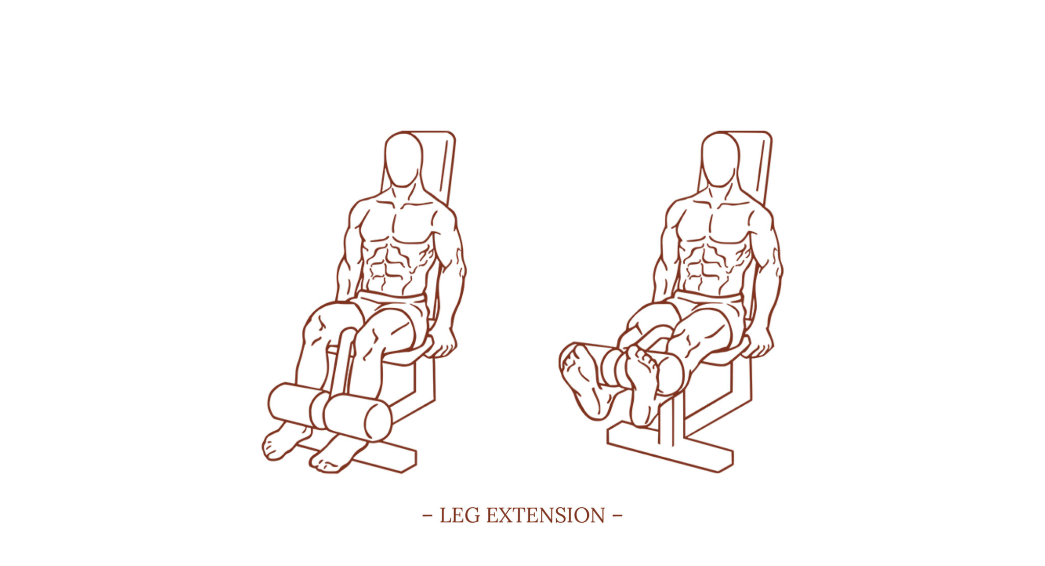 Leg-Extension-Illustration - Michael Loehr