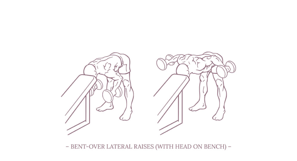 Bent_Over_Lateral_Raises_Illustration - Michael Loehr