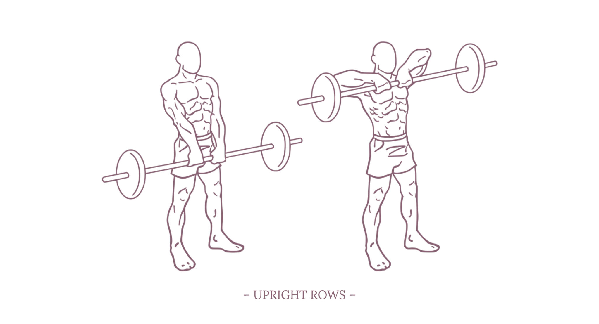 Upright_Rows_Illustration - Michael Loehr