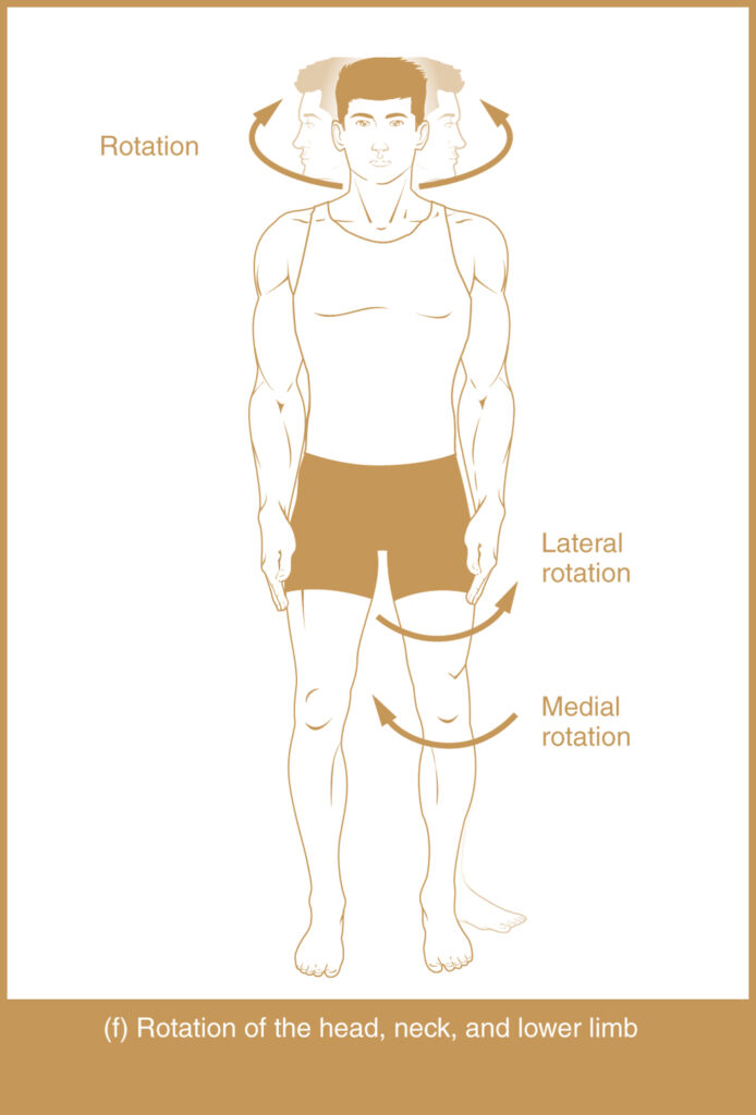 Rotation_V2 - Michael Loehr